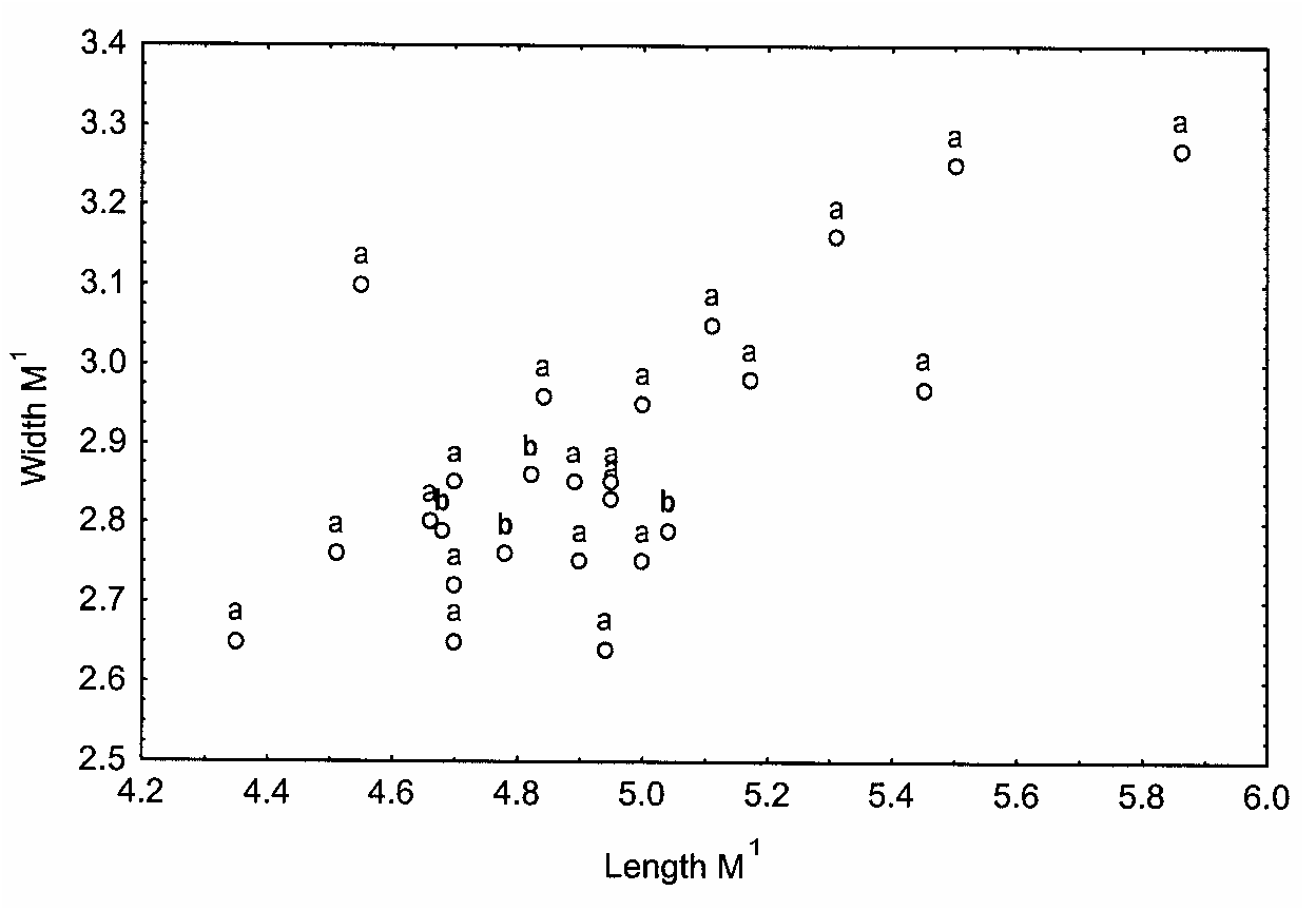 FIGURE 4 In On The Identity Of Flying foxes Genus Pteropus Mammalia figure-4-in-on-the-identity-of-flying-foxes-genus-pteropus-mammalia